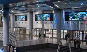 Manahatta Waterways: a Sanctuary