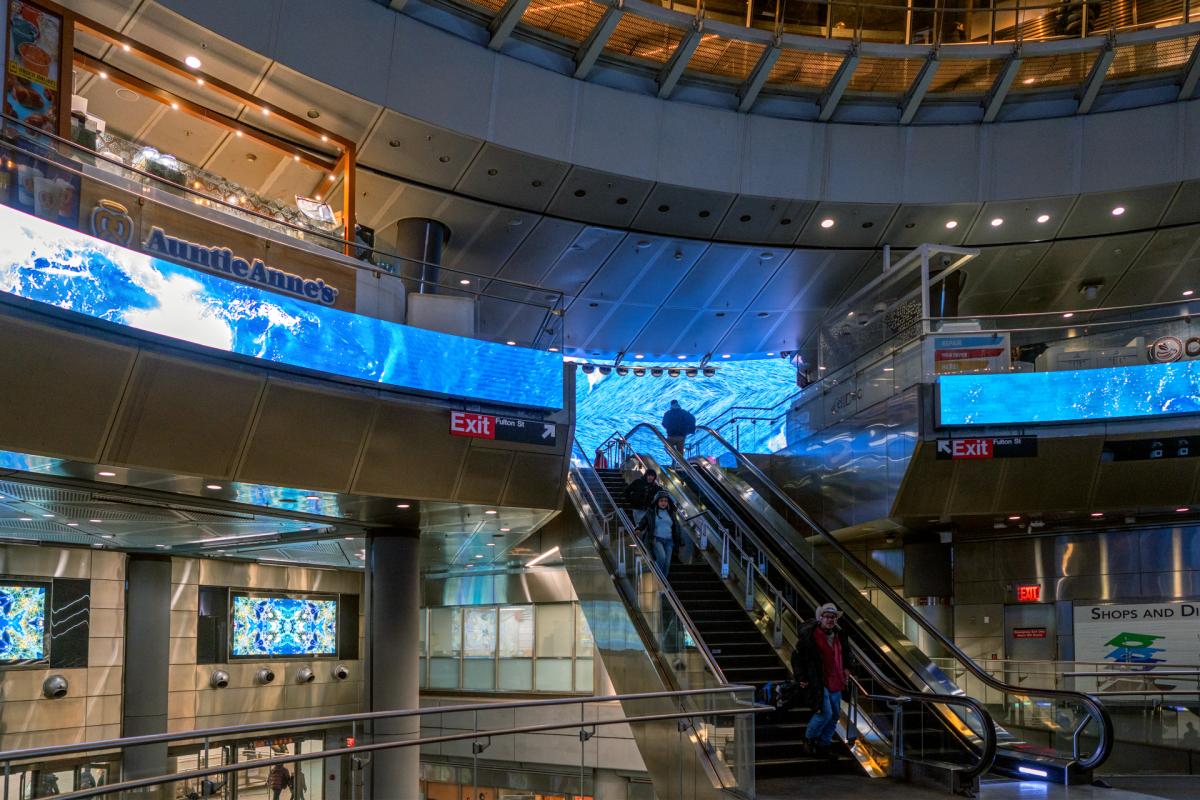 Manahatta Waterways: a Sanctuary